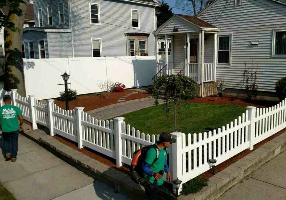 Backyard Clean Up: 10 Essential Tips for a Perfect Yard in 2024